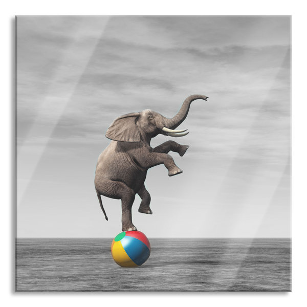 Happy Larry Glasbild Elefant in der Wüste balanciert auf Ball | Wayfair.de